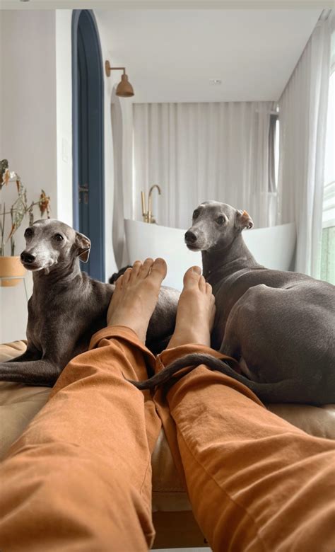 Pedro Neschlings Feet