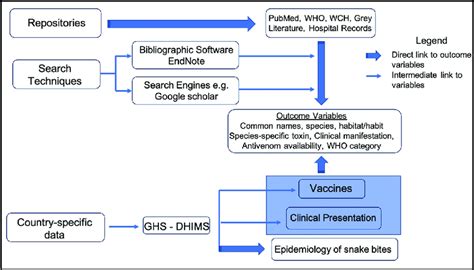 Flow Chart Showing Information Gathering Process Download Scientific Diagram