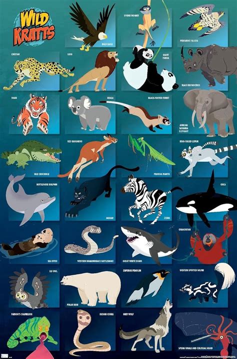 Wild Kratts Grid Wall Poster 34l X 224w Premium Unframed Version