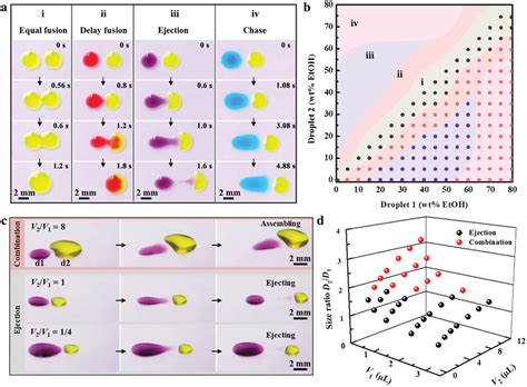 Assembly Behavior Relied On The Relative Component And Size Of