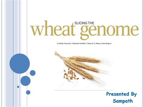 The Wheat Genome Pptx