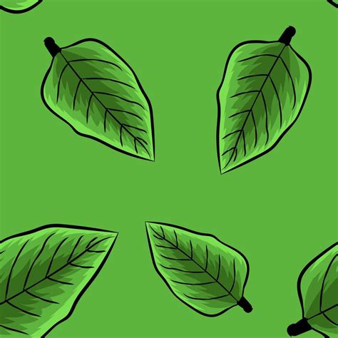 Vector Seamless Pattern Leaf Sugar Fresh Vector Illustration Green Abstract Tecture Line