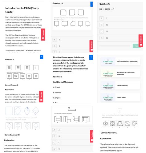 Practice Cat4 Test For Level Y Year 3 Questions 2025 Testhq