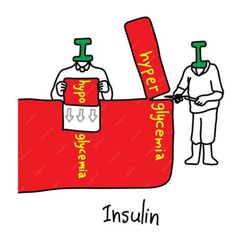 Premium Vector Metaphor Main Function Of Insulin Is To Control
