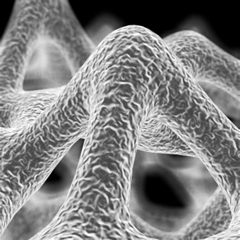 Cell Structure 3d Model