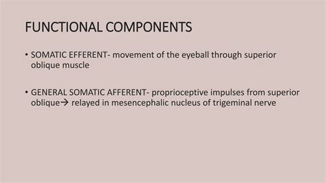 Trochlear Nerve By Dr Haamidpptx Learn About Cranial Nerved Ppt