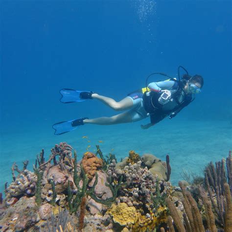 Schoolpe Plongée Privative 데샤이에스 Schoolpe Plongée Privative의 리뷰