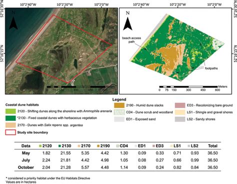 Full Article Assessing The Effectiveness Of Uav Data For Accurate Coastal Dune Habitat Mapping