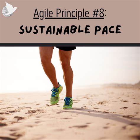Principle 6 Face To Face Communication The Agile Way Snowbird Agility