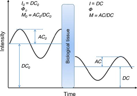 Overview Of Diffuse Optical Tomography And Its Clinical Applications
