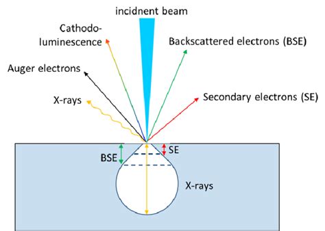 7 Interaction Volume And Typical Signals Generated In Sem Adapted From Download Scientific