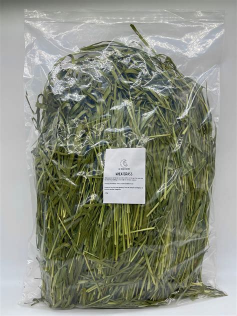 Moonbunny Dried Wheatgrass The Moon Bunny