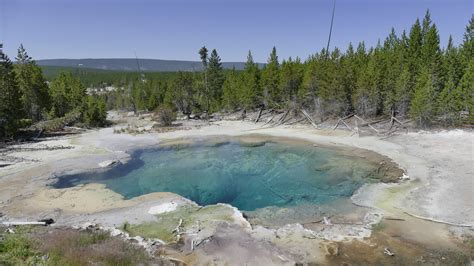 Old Faithful And Upper Geyser Basin Trail Yellowstone