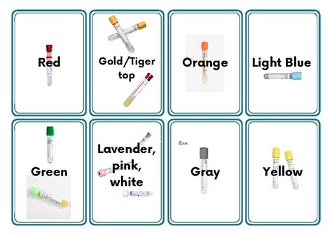 Phlebotomy Tubes Match Game By Scrub In Tpt