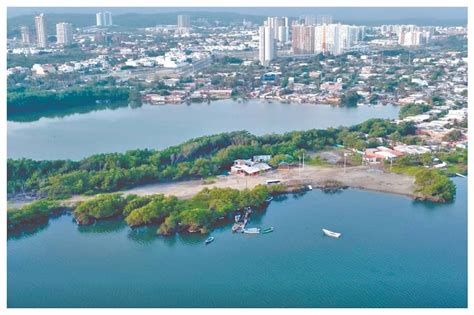 Ciénaga Mallorquín Buscan Rescatar La Ciénaga Más Importante De
