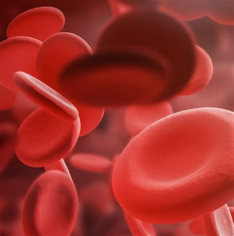 What Could Be The Cause Of Anemia Aplastic Anemia Causes Symptoms And Complications Explained