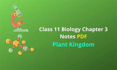 Ncert Class 11 Biology Plant Kingdom Notes Pdf Handwritten And Short Notes