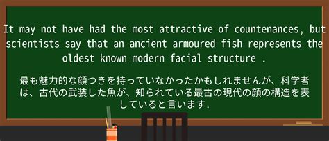 【英単語】facial Structureを徹底解説！意味、使い方、例文、読み方 おもしろい英文法