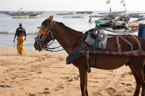 M Bour Senegal 28 December 2022 People Wait For The Return Of