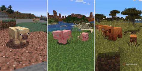 All New Features In Minecrafts Spring To Life Update
