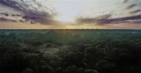 A New Look At The Temperature Within Tropical Forests Assignment Point