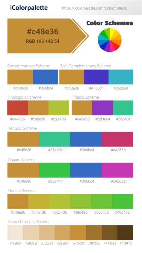 Calico Cat Information Hsl Rgb Pantone