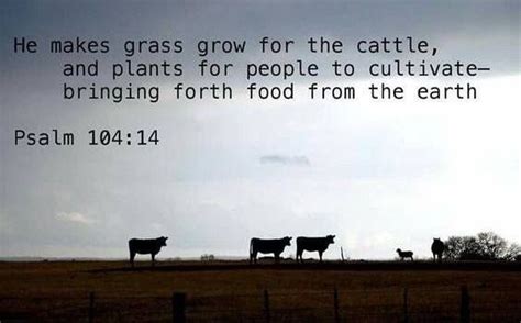 Pin By Party By Shelbea Gouldie On God And Scripture Farm Life