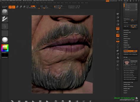 Zbrush Sculpting And Polypaint Tutorial Jayanam Tutorials 3d Models