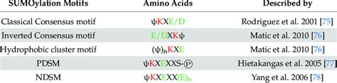The Different Sumoylation Motifs Download Scientific Diagram