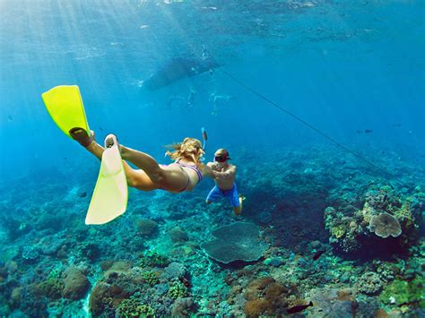 Big Island Snorkeling Guide Spots Gear And Tips Hawaii Travel Guide