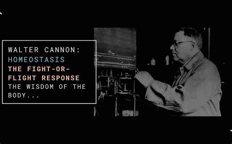Walter B Cannon Quotes All About Skynex Ukraines New Made In