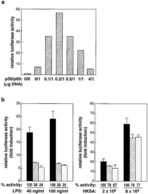 Regulation Of The Tnf Promoter Inducibility By P50 A Raw 2647 Cells