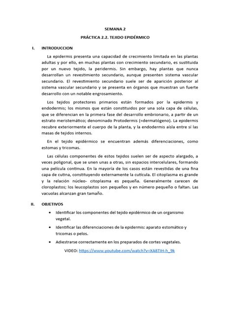 Práctica 5 Tejido Epidermico Pdf Técnicas De Laboratorio Biología