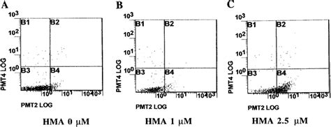Histogram Of 2 Color Fluorescence Activated Cell Sorting Analyses Of