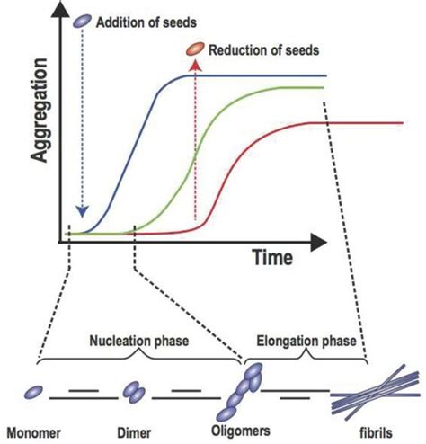 full article a continuous time mathematical model and discrete approximations for the