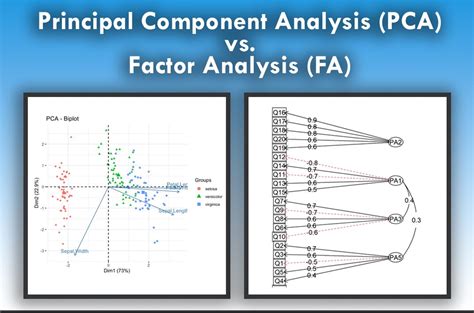 Statistics Globe Ever Wondered About The Difference Between Principal