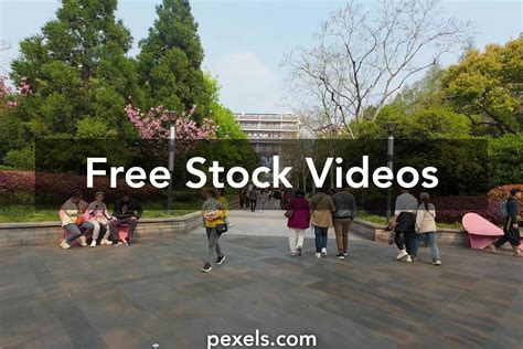 Peeing Together And On Each Other Videos Download The Best Free 4k Stock Video Footage And Peeing