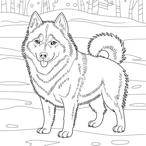 Husky Coloring Pages Coloringlib