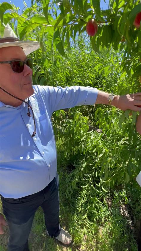 Just Peachy 🍑 Mark And Carrie Schnepf Have An Important Update On Peach Season Theyll Share