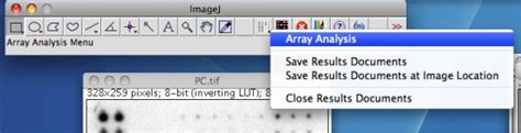 Protein Array Analyzer For ImageJ Gilles Carpentier Research Web Site