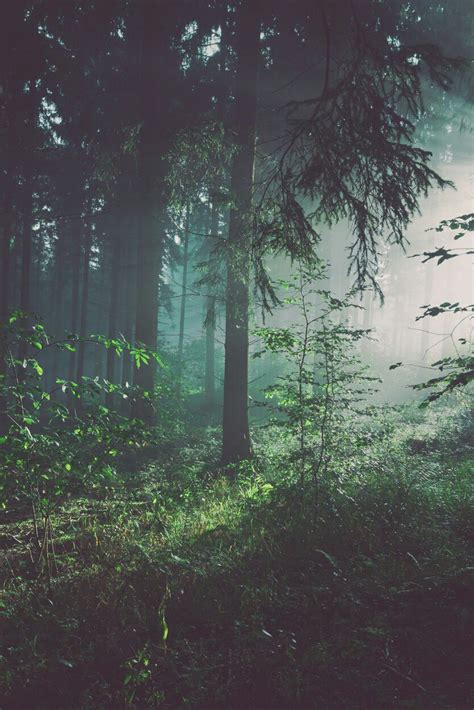 Love In A Lap Dance Tmnt Raphael X Reader Completed Are We