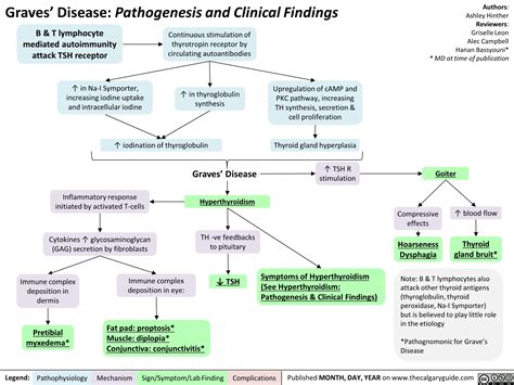 Graves Disease Pathogenesis And Clinical Findings Calgary