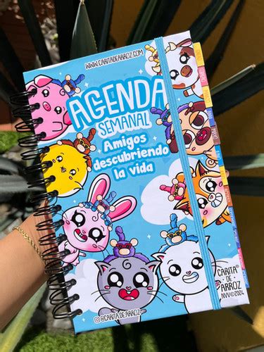 Agenda Semanal Sin Fechas 70stickers Folder Separadores