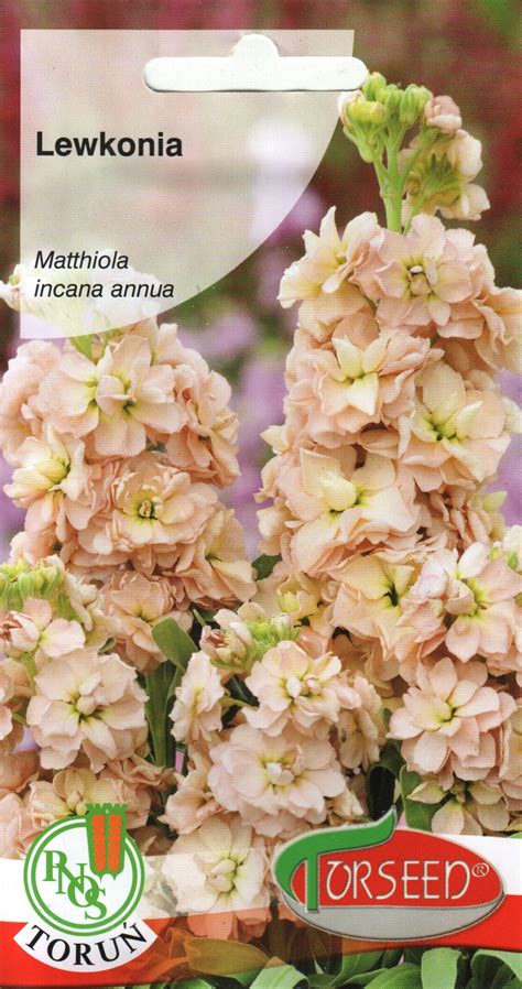 Levkoi Lõheroosa Bara Seemnedee