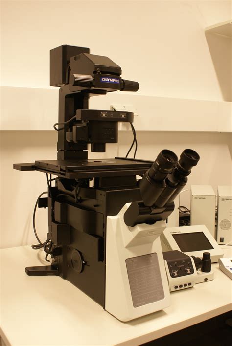 Cmmc Widefield Microscopes