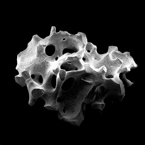 Biomaterials Botiss Klockner