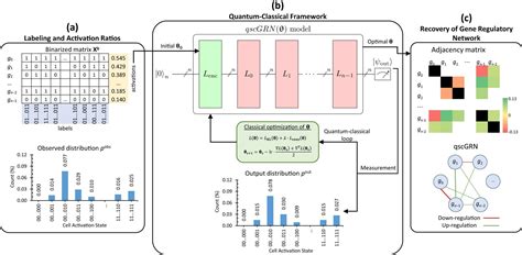 Researchers Use Quantum Computing To Predict Gene Relationships Rsingularity