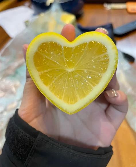 爱心形柠檬1德果庄 东莞店来自小红书网页版 花瓣网