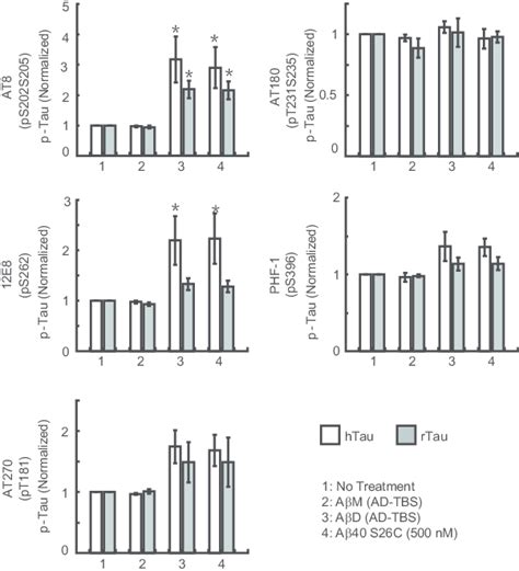 Alteration Of The Phosphorylation State Of Tau At Ad Relevant Epitopes