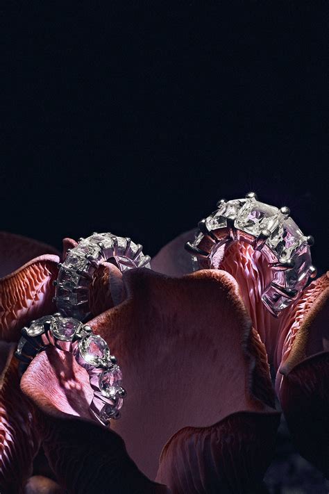 Blood Orange Sonic Youth и Янка Дягилева какие треки отражают